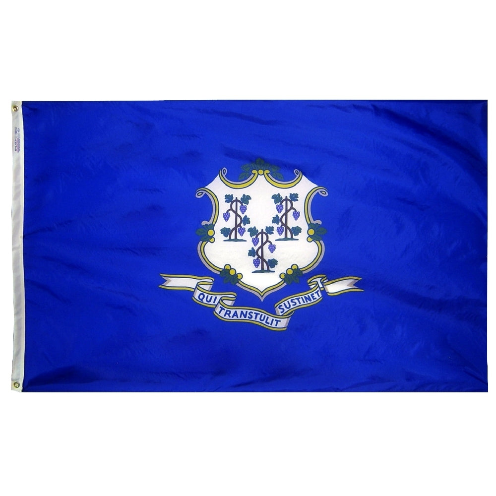 12"x18" Connecticut State Outdoor Flag | Flags A' Flying